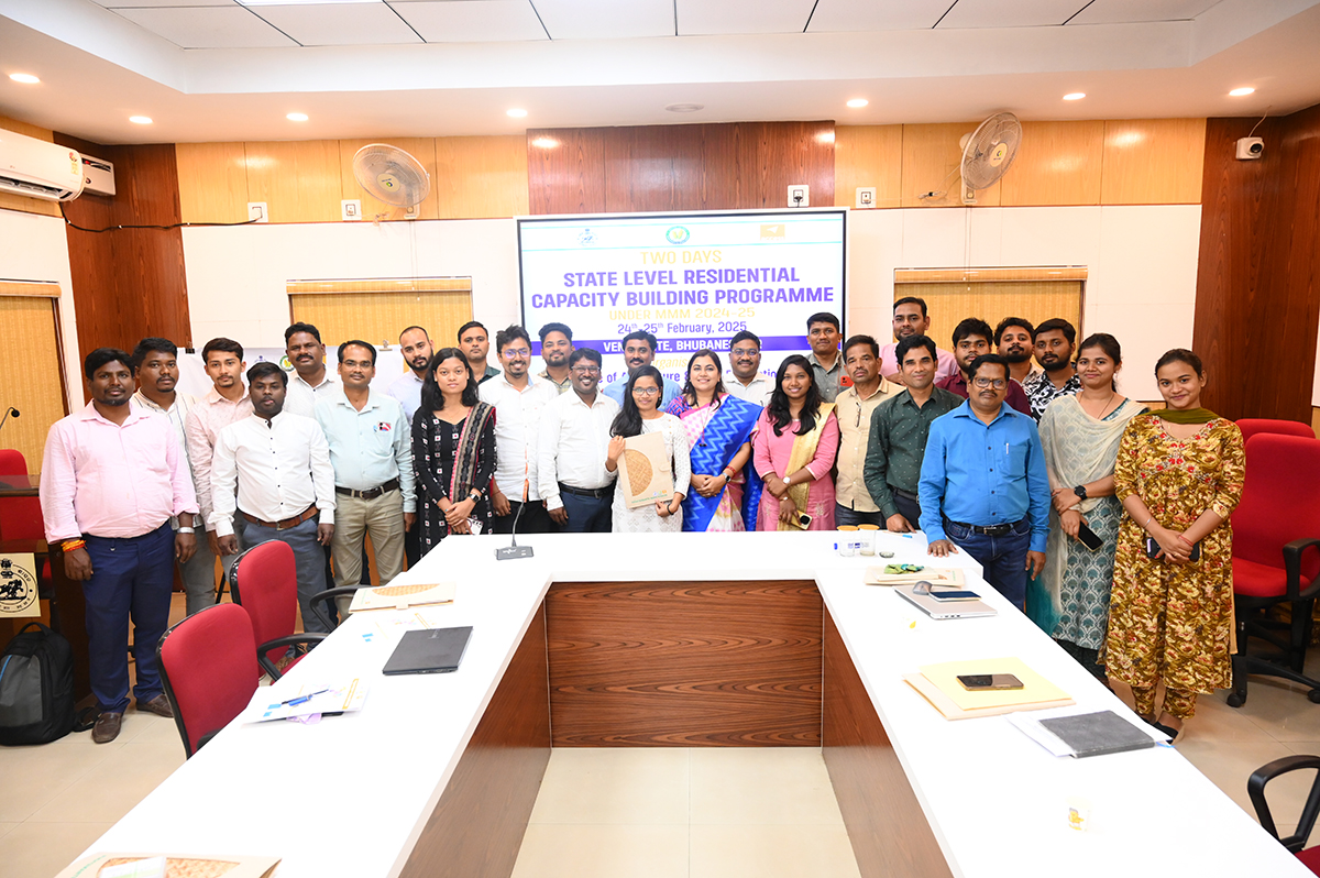 Gallery – Accessdev